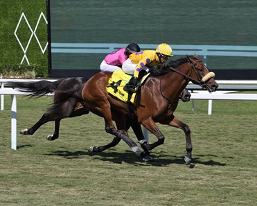 Far Bridge - Horse Profile - BloodHorse