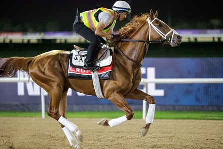 Crupi - Horse Profile - BloodHorse