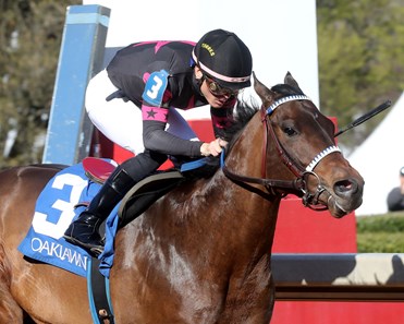 Bohemian Bo - Horse Profile - BloodHorse