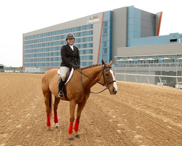 Whitmore - Horse Profile - BloodHorse