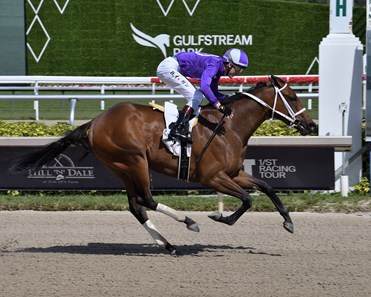 Launch - Horse Profile - BloodHorse