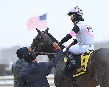 Jody's Pride - Horse Profile - BloodHorse