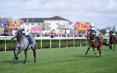 Charyn (IRE) - Horse Profile - BloodHorse