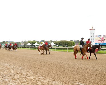 Whitmore - Horse Profile - BloodHorse