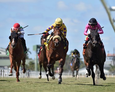 Far Bridge - Horse Profile - BloodHorse