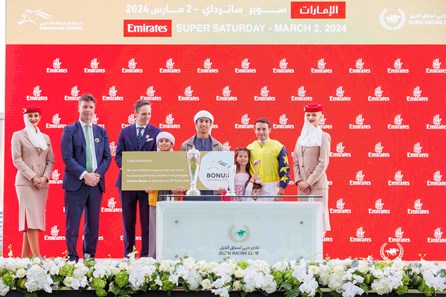 Frost At Dawn - Horse Profile - BloodHorse