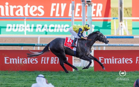 Frost At Dawn - Horse Profile - BloodHorse