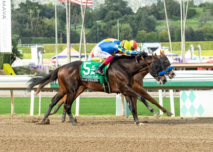 Imagination - Horse Profile - BloodHorse