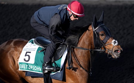 Emily Upjohn (GB) - Horse Profile - BloodHorse