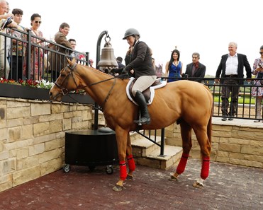 Whitmore - Horse Profile - BloodHorse