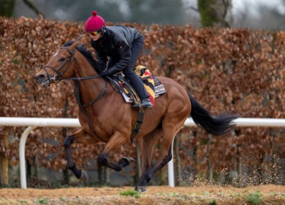 Henry Longfellow (IRE) - Horse Profile - BloodHorse