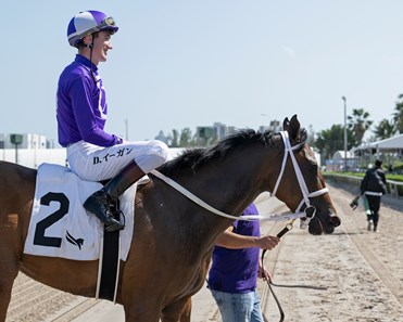 Launch - Horse Profile - BloodHorse