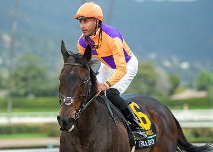 Ruby Nell - Horse Profile - BloodHorse