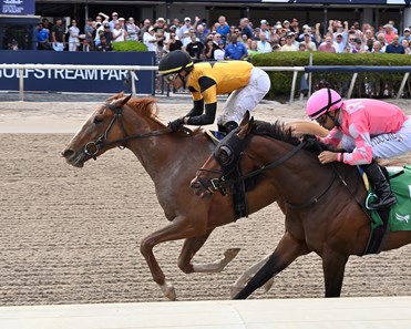 Sedona - Horse Profile - BloodHorse