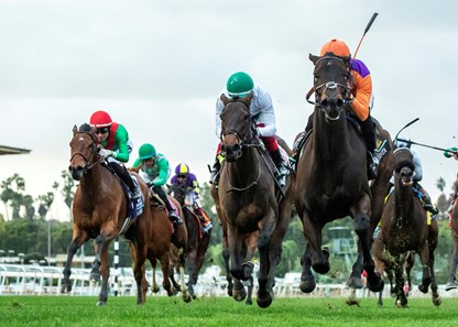 Ruby Nell - Horse Profile - BloodHorse