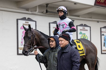 Jody's Pride - Horse Profile - BloodHorse