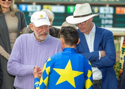 Imagination - Horse Profile - BloodHorse