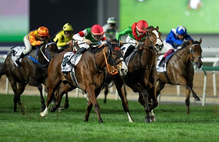 Facteur Cheval (IRE) - Horse Profile - BloodHorse