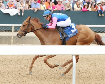 Task - Horse Profile - BloodHorse