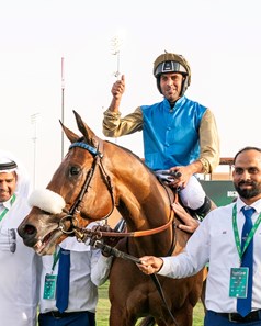 King Shalaa (FR) - Horse Profile - BloodHorse