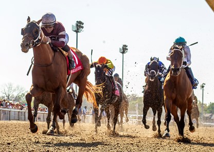 Red Route One - Horse Profile - BloodHorse