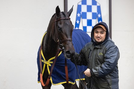 Jody's Pride - Horse Profile - BloodHorse