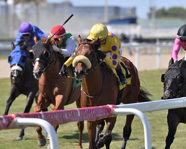 Far Bridge - Horse Profile - BloodHorse