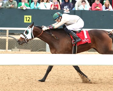 Lady Moscato - Horse Profile - BloodHorse