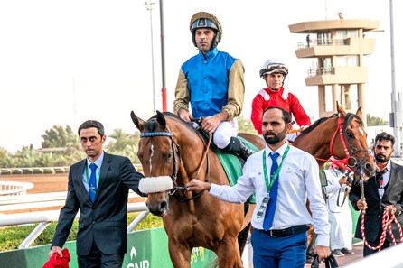 King Shalaa (FR) - Horse Profile - BloodHorse