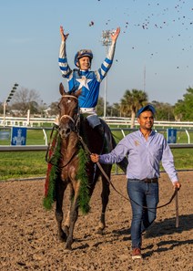 Catching Freedom - Horse Profile - BloodHorse