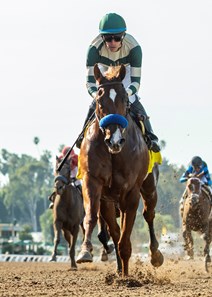 Kinza - Horse Profile - BloodHorse