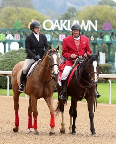 Whitmore - Horse Profile - BloodHorse