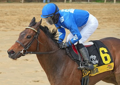 Determined Driver - Horse Profile - BloodHorse