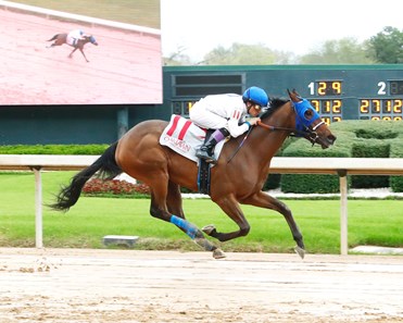 Strike Ridge - Horse Profile - BloodHorse