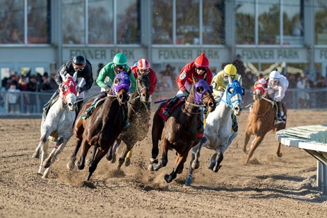 Nebraska Aiming for Expanded Racing, Breeding Programs - BloodHorse