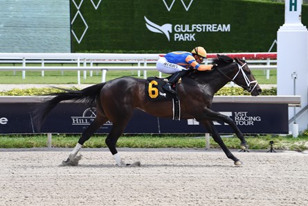 Mindframe - Horse Profile - BloodHorse