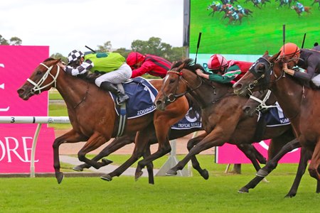 Top-Weighted Zougotcha Triumphs in Coolmore Classic - BloodHorse