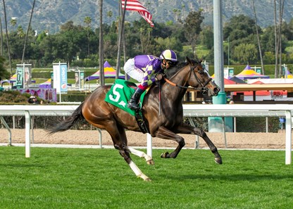 Medoro - Horse Profile - BloodHorse