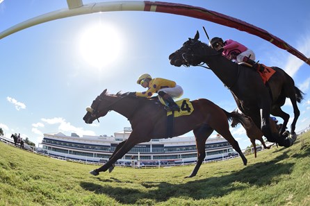 Far Bridge - Horse Profile - BloodHorse
