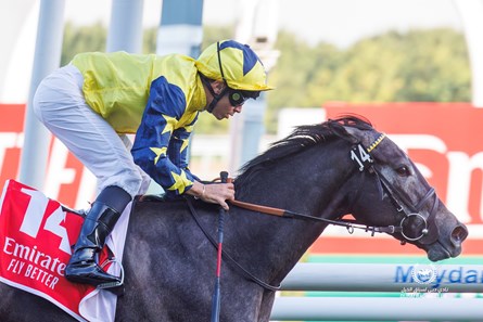 Frost At Dawn - Horse Profile - BloodHorse