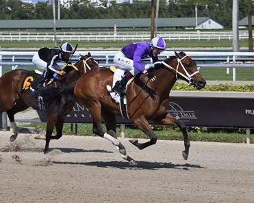 Launch - Horse Profile - BloodHorse