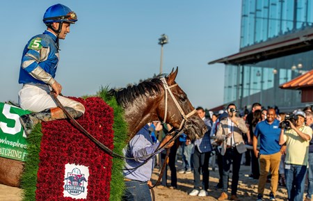 Catching Freedom - Horse Profile - BloodHorse