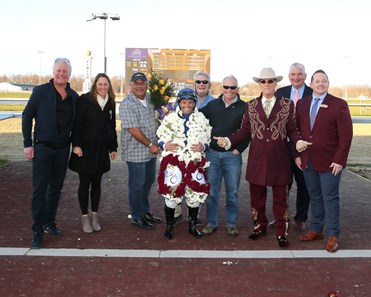 Endlessly - Horse Profile - BloodHorse