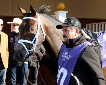 Endlessly - Horse Profile - BloodHorse