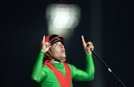 Facteur Cheval (IRE) - Horse Profile - BloodHorse