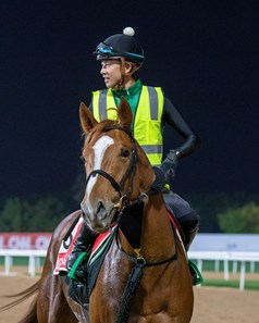 Derma Sotogake (JPN) - Horse Profile - BloodHorse