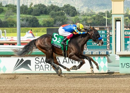 Imagination - Horse Profile - BloodHorse