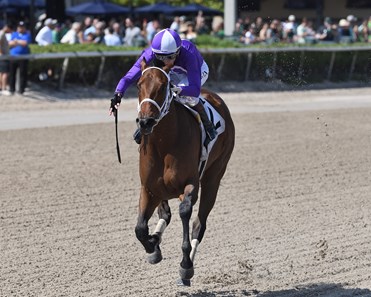 Launch - Horse Profile - BloodHorse