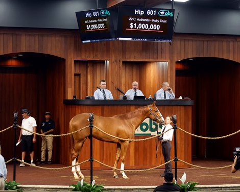 First-Crop Authentic Colt Lights Up Board at $1 Million - BloodHorse