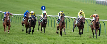 Jayarebe (FR) - Horse Profile - BloodHorse